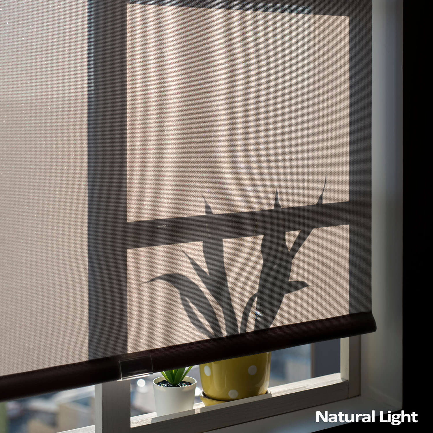 Roller Shades & Window Blinds | GoDear Design